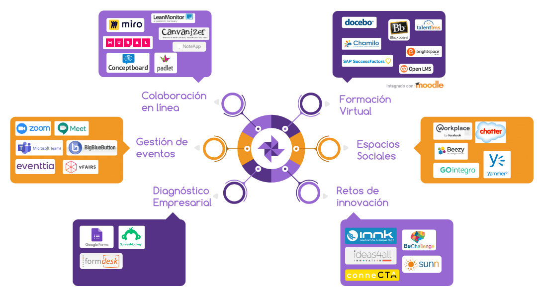 Ecosistema de inteligencia colectiva - Platunico Ecosistema de inteligencia colectiva - Platunico